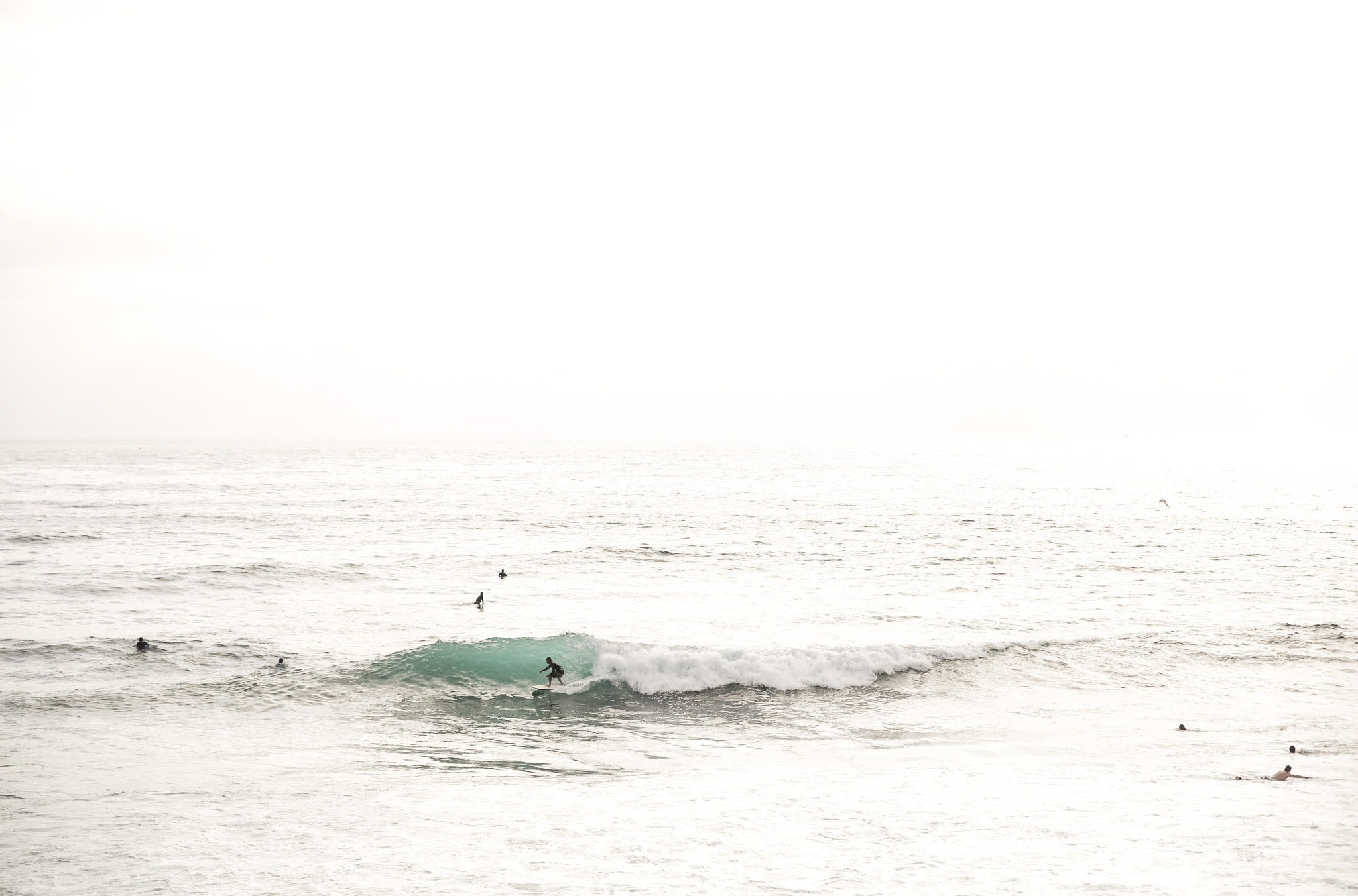 WindanSea 3066 - California Coastal Photography Wall Prints – Salt ...